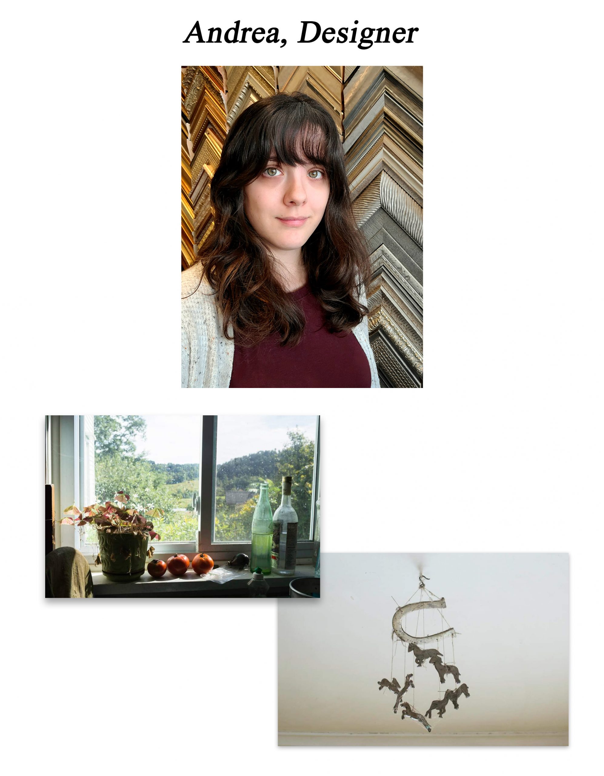 Meet The Team - The Great Frame Up :: Rochester